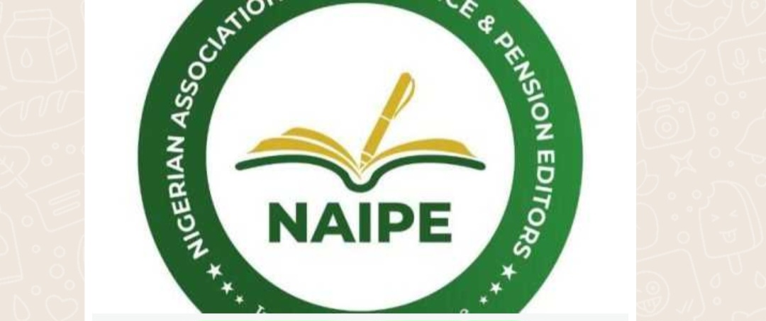 NAICOM, PenCom, Sanlam, NEM, Africa Re, AIICO, Others For NAIPE's 2024 ...