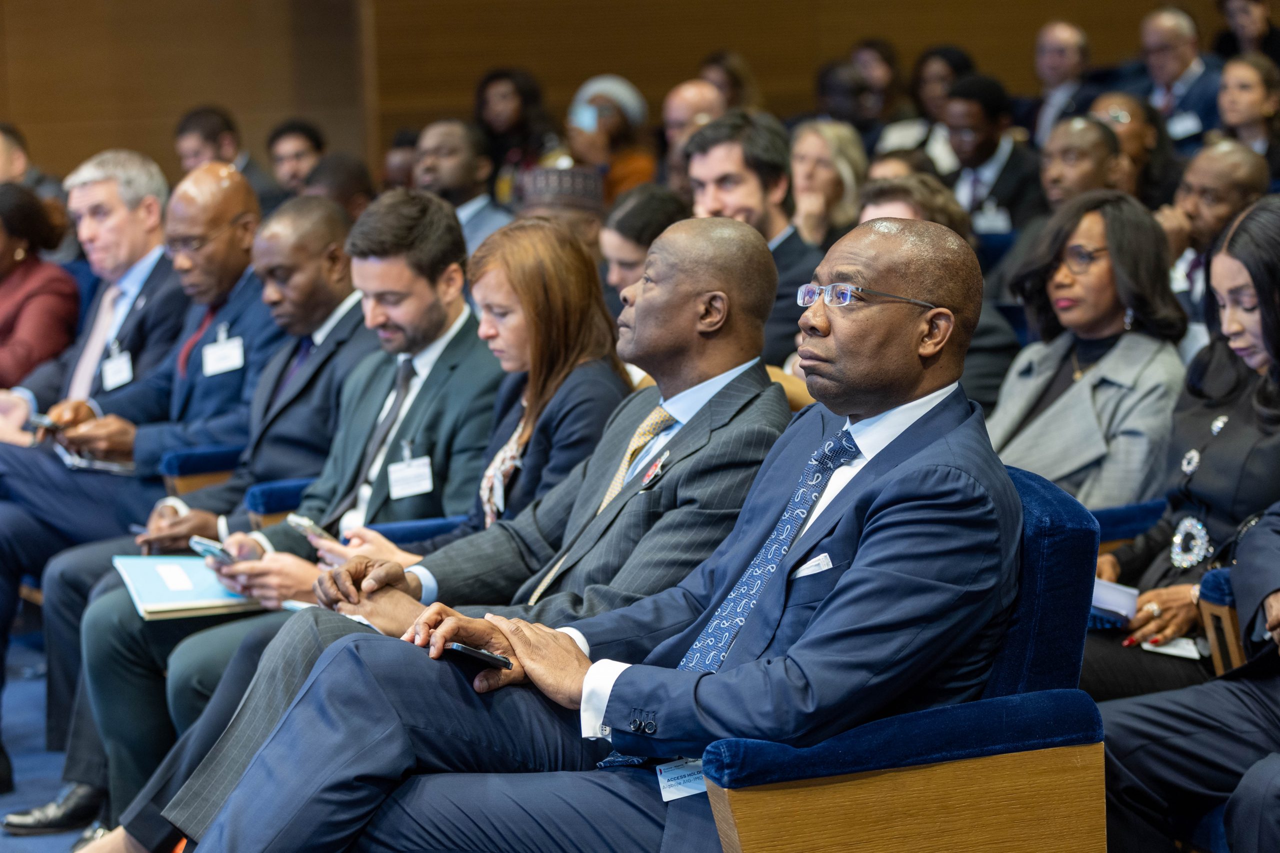 Aigboje Aig-Imoukhuede Highlights Deepening Nigeria-France Business ...